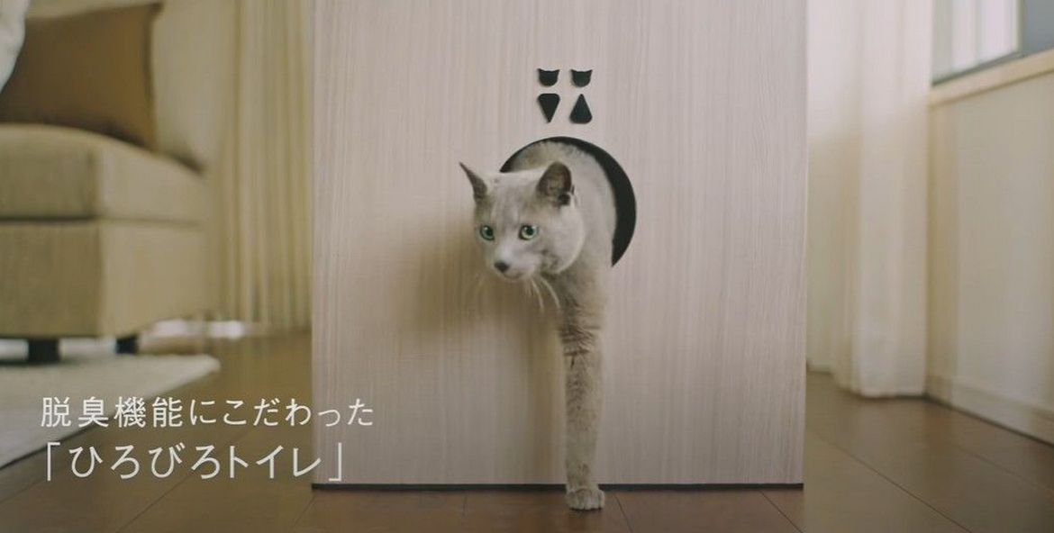 Why just a cat house? This Japanese firm has created a functional four ...