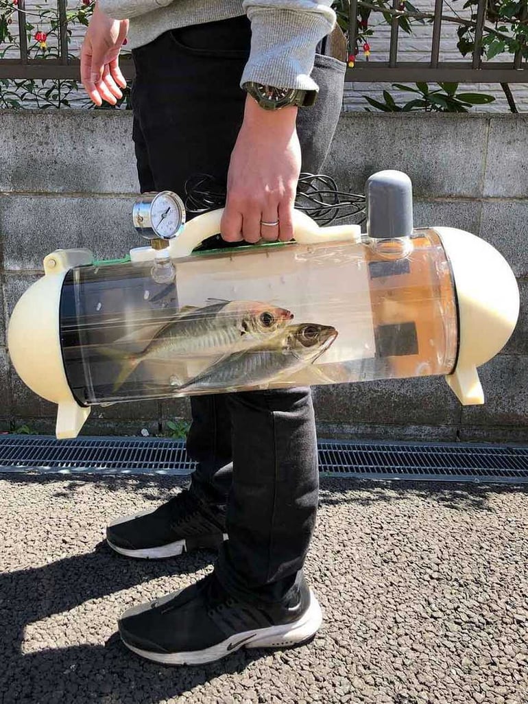 This specially designed Japanese bag is a portable fish tank that lets ...