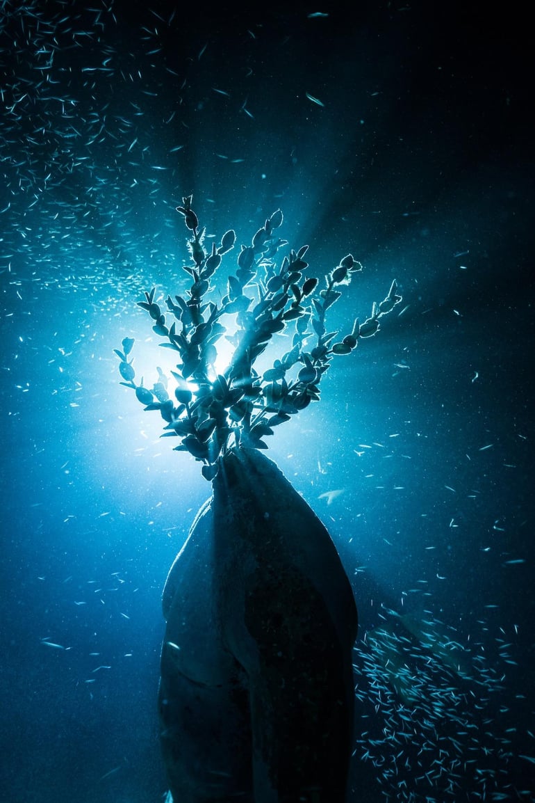 Located in Cyprus, here’s a look at the first underwater museum in the ...
