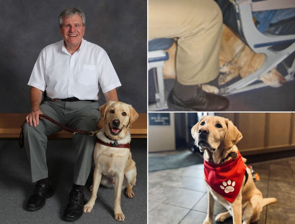 Meet Nesbit, the first dog to fly a million miles with Delta Airlines ...