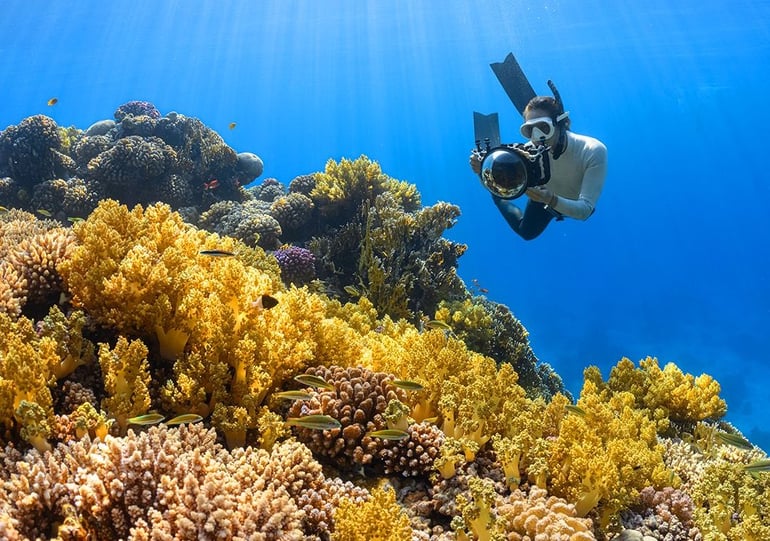 Moving beyond over the top skyscrapers, Saudi Crown Prince MBS’s Neom ...