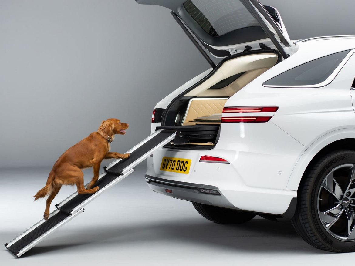 The Genesis X Dog concept transforms the trunk of an SUV into the most ...