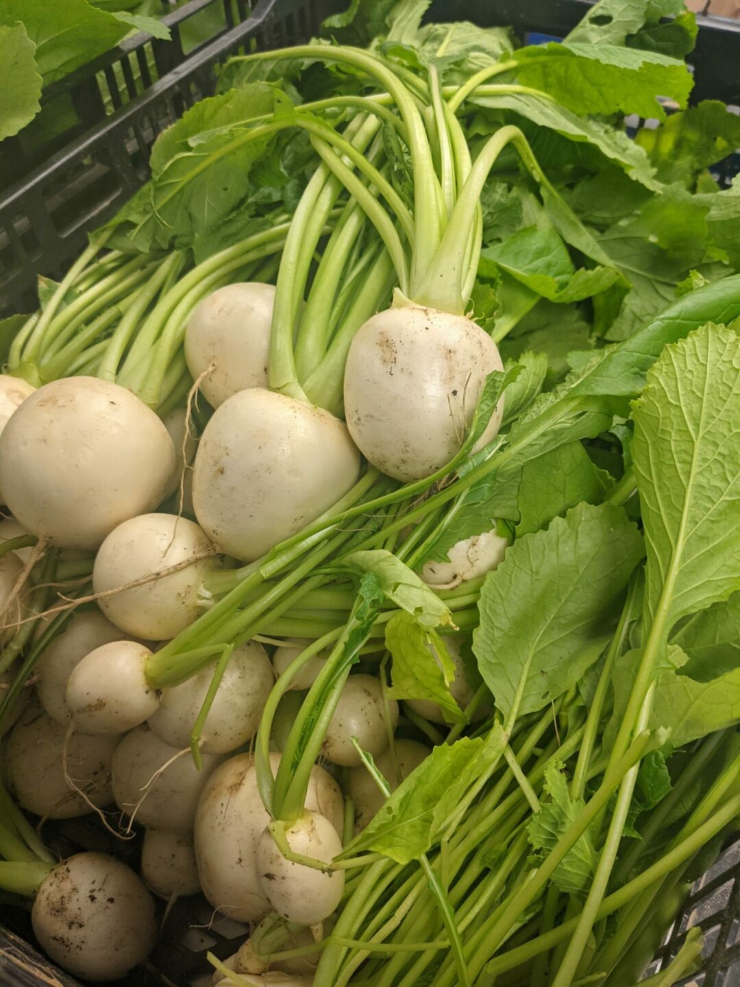 Silver Spring Nonprofits Team with Shepherd’s Table to Help Feed ...