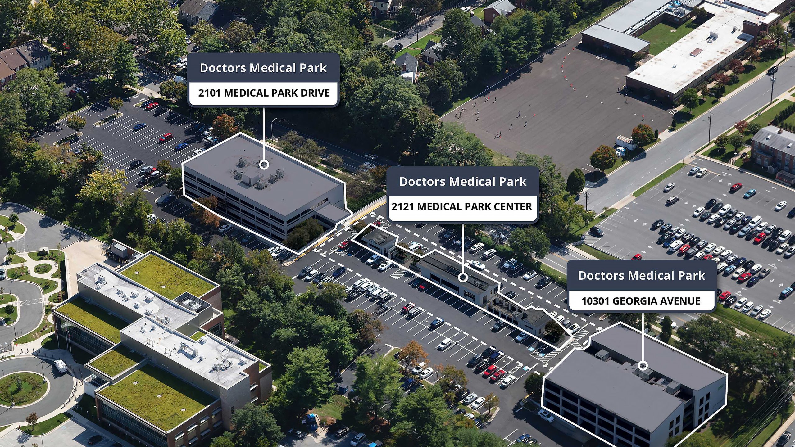 Silver Spring MD | Takoma Park MD | Source of the Spring