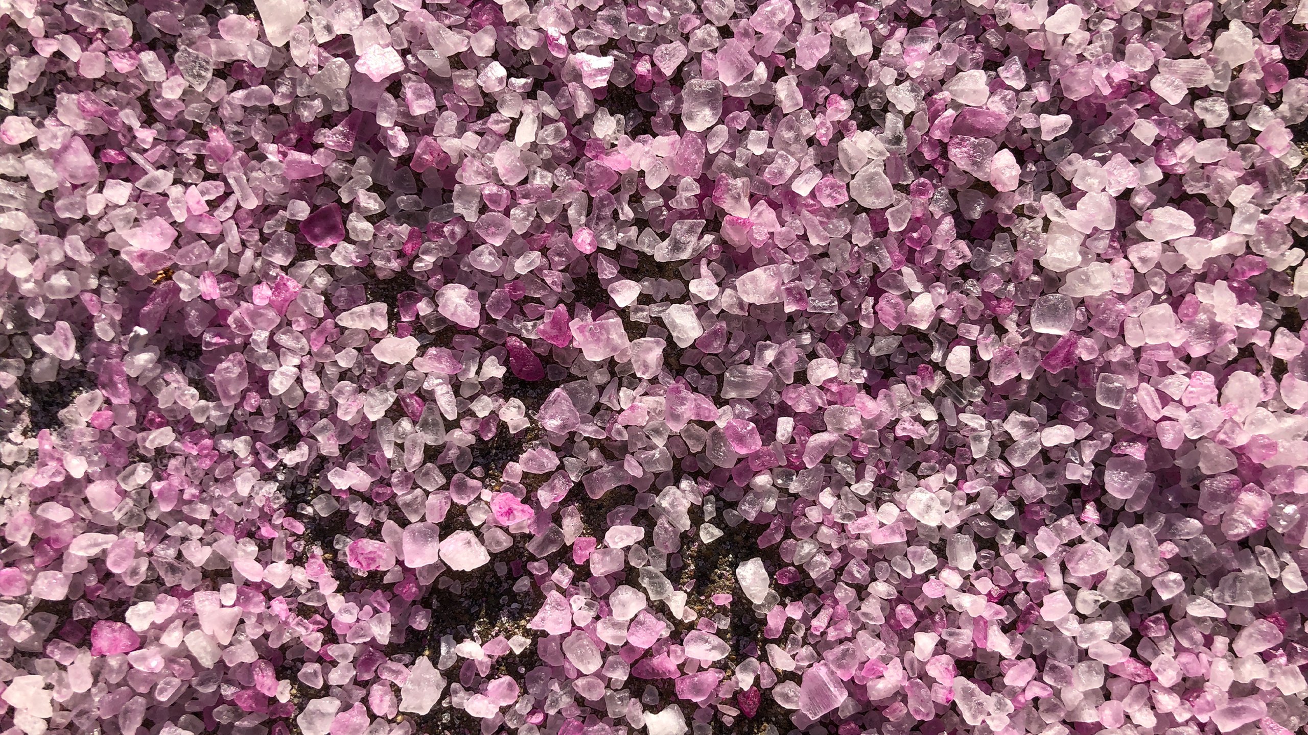 Montgomery County Issues Winter Salt Use Reminder | Source of the Spring