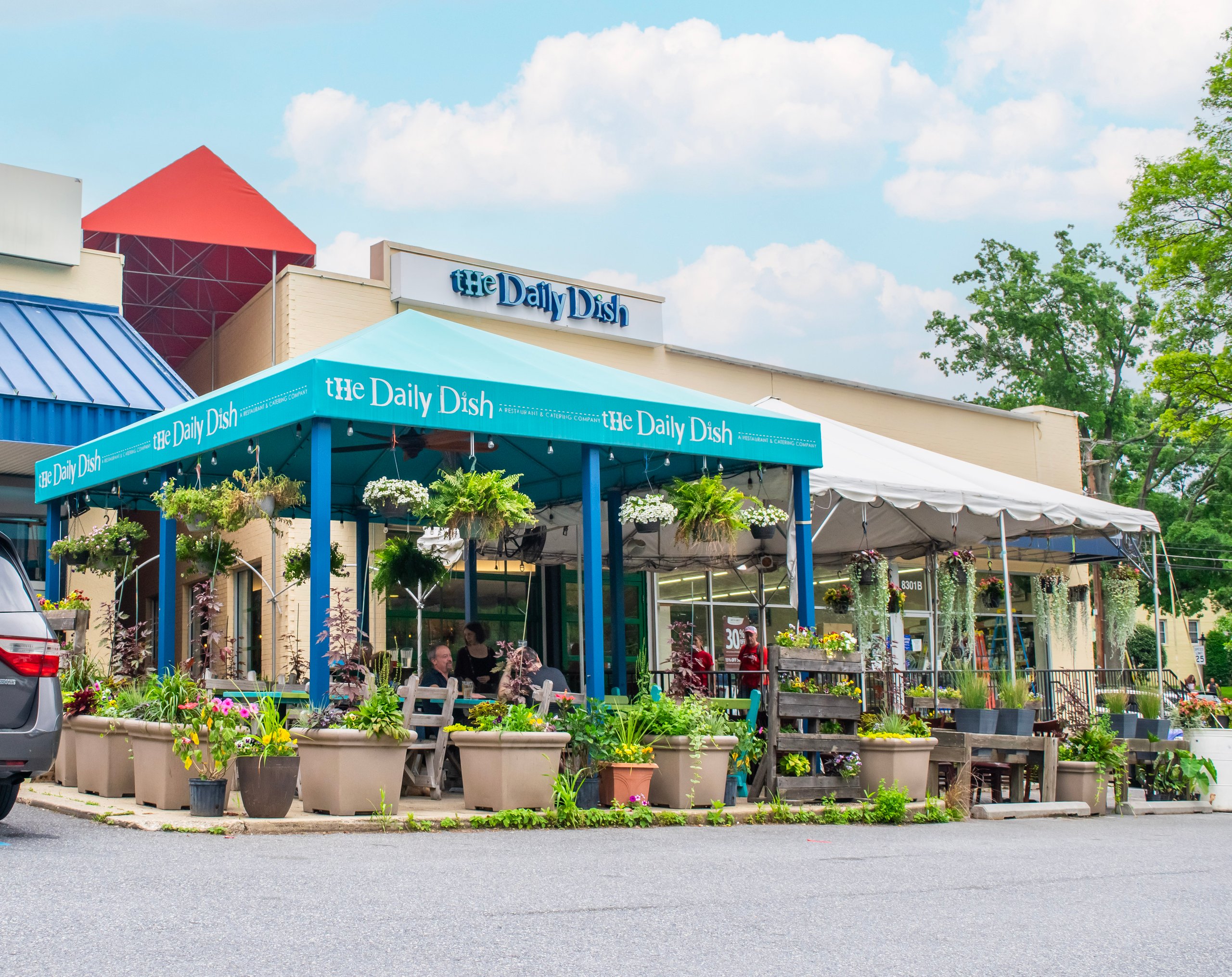 $1 Oysters and More: The Daily Dish’s 15th Anniversary Specials Begin ...