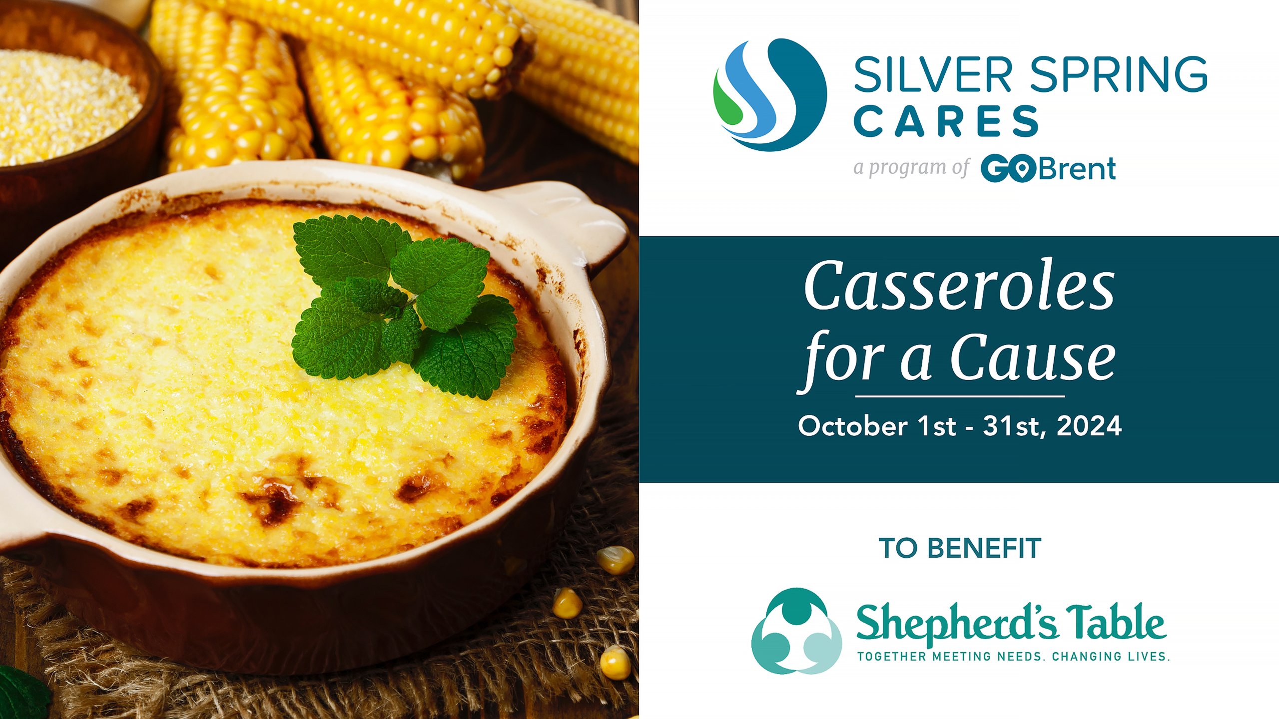 Casseroles for a Cause: Join the Fourteenth Campaign to Support ...
