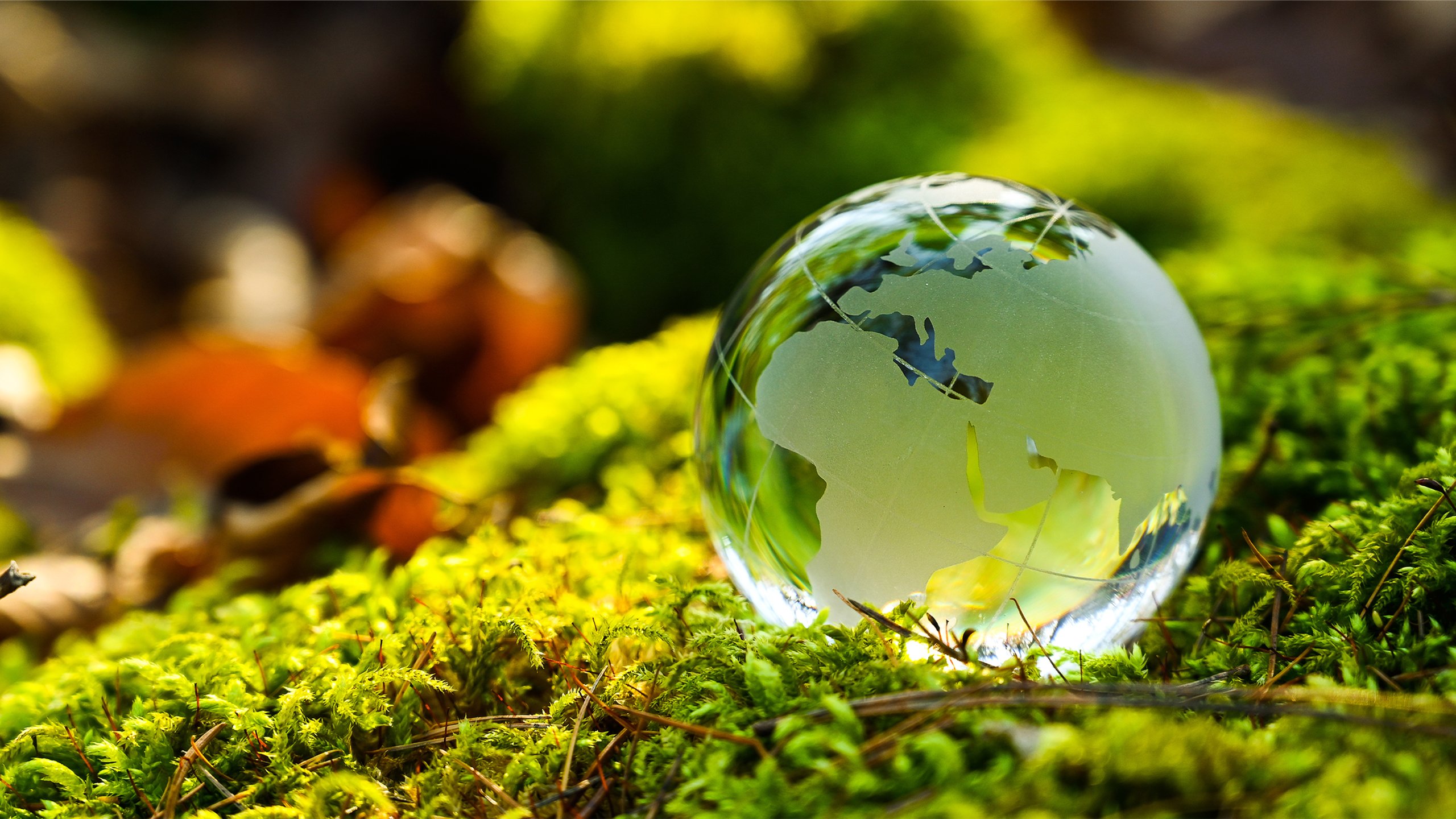 Montgomery County Celebrates “Earth Month” with Eco-Friendly Activities ...