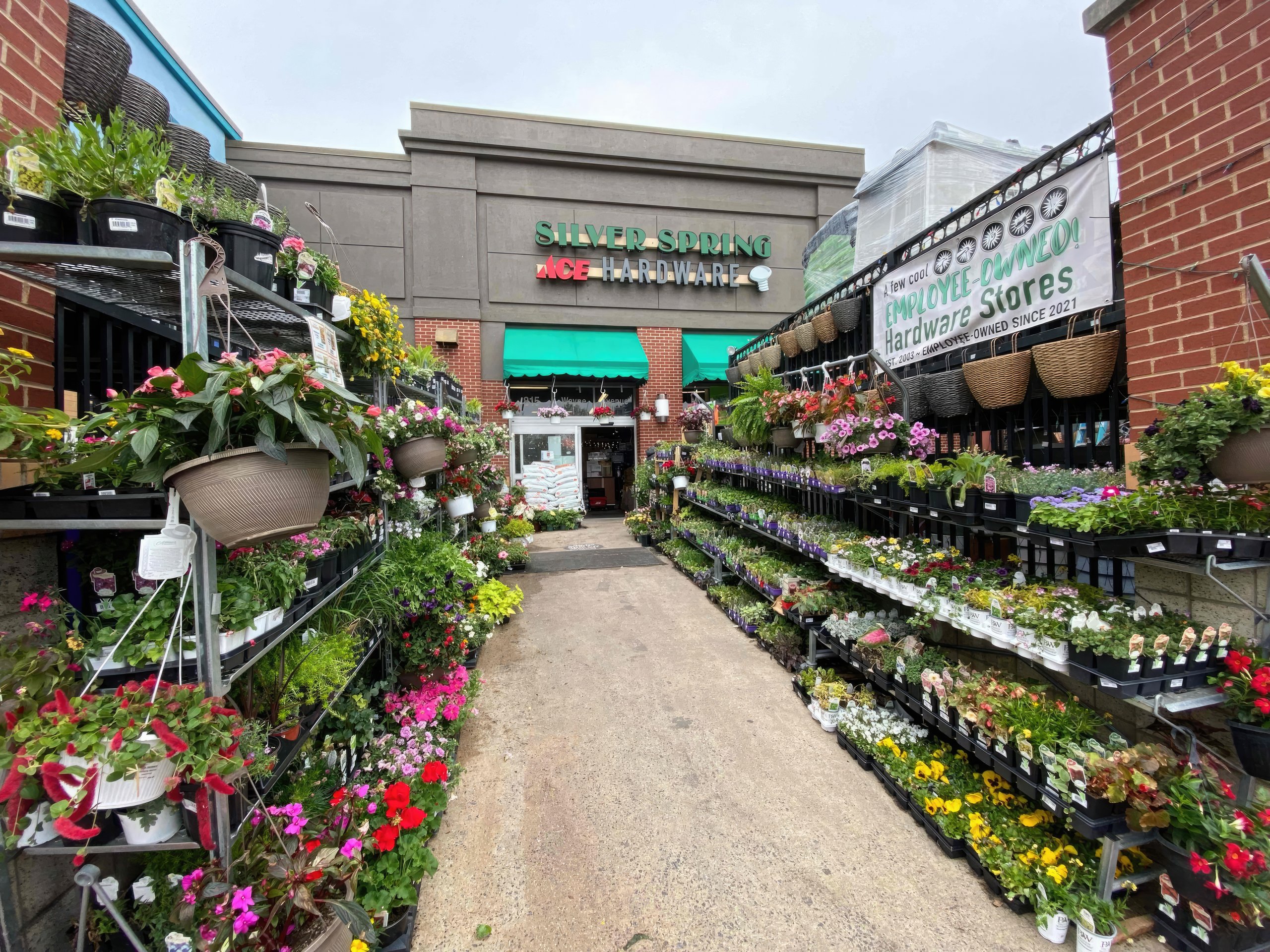 Serial Hardware Store Thief Sentenced to Four Years in Prison | Source ...