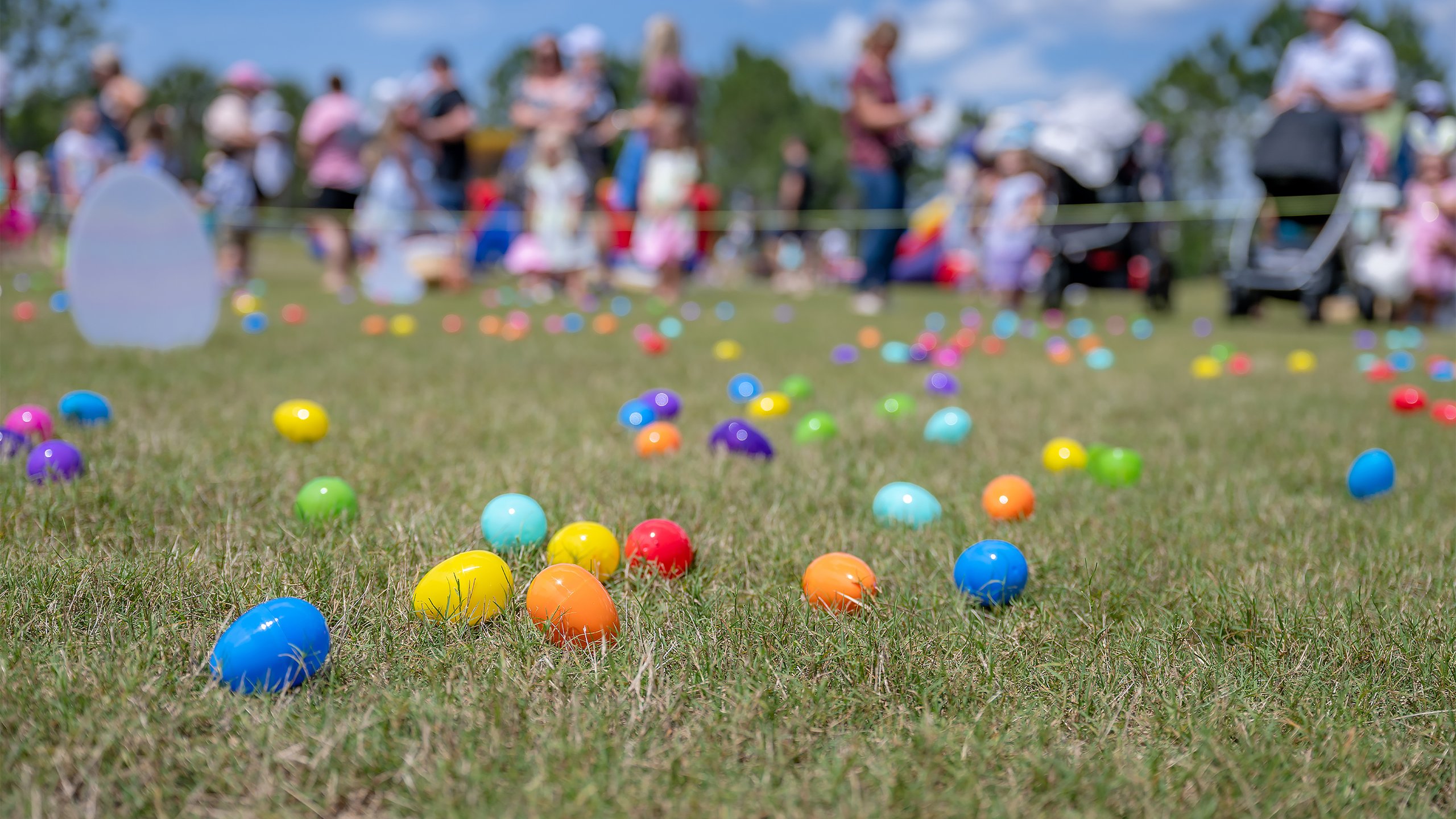 Hop into Spring: Takoma Park’s Easter Egg Hunt Returns on March 30th ...