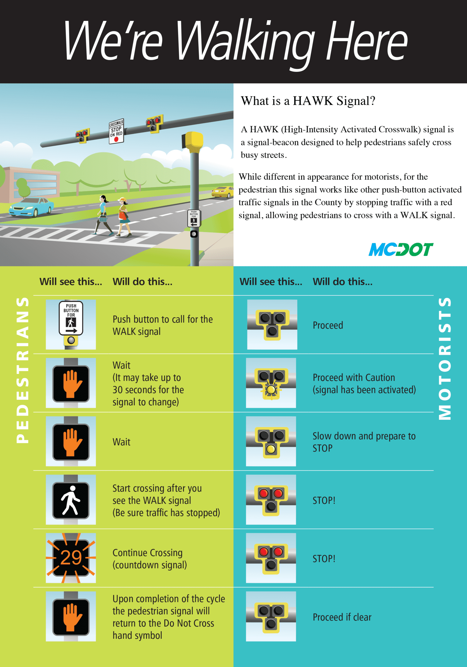 HAWK Beacons Activated on Fenton Street | Source of the Spring