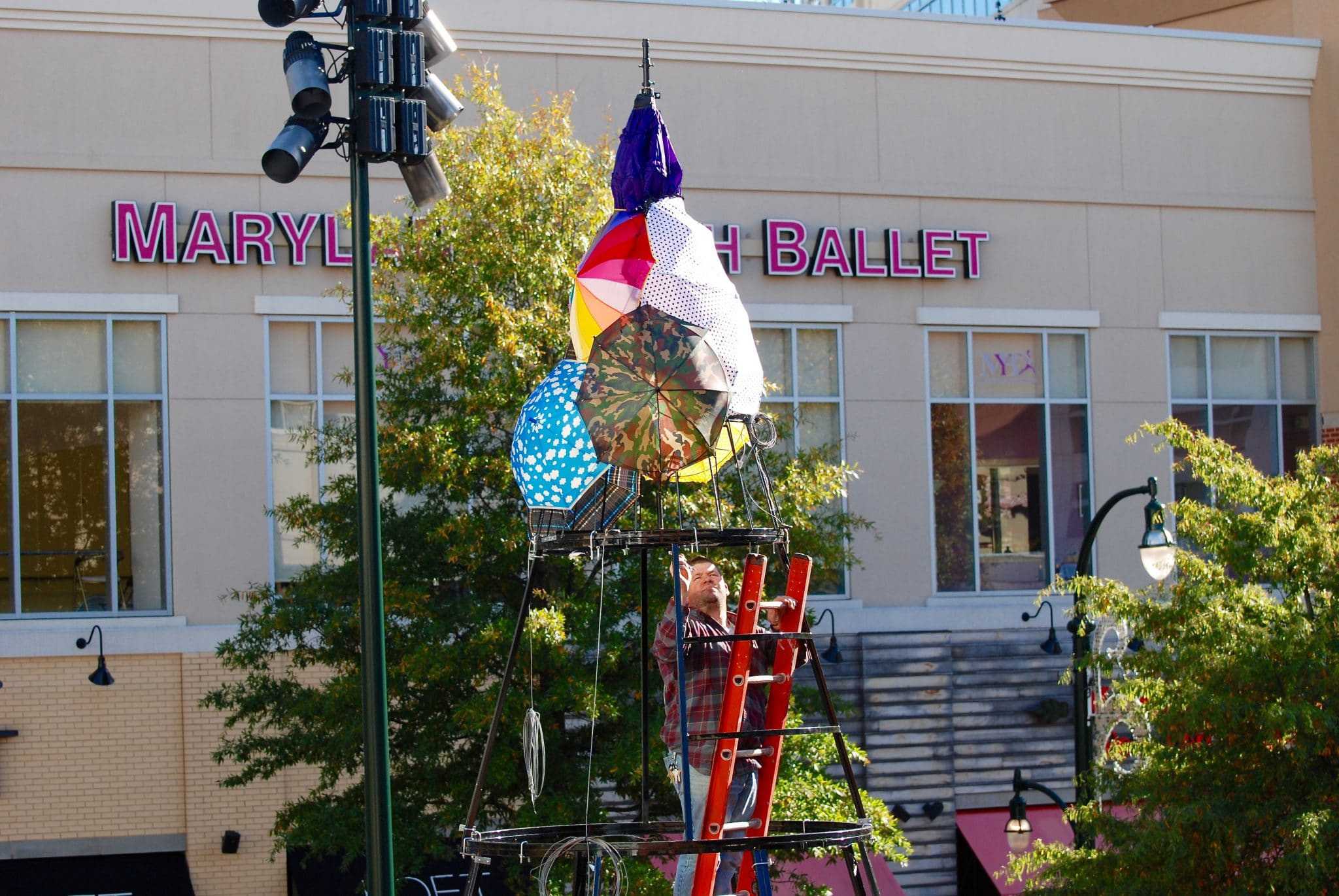 Positivi-Tree to light up downtown Silver Spring this weekend | Source ...
