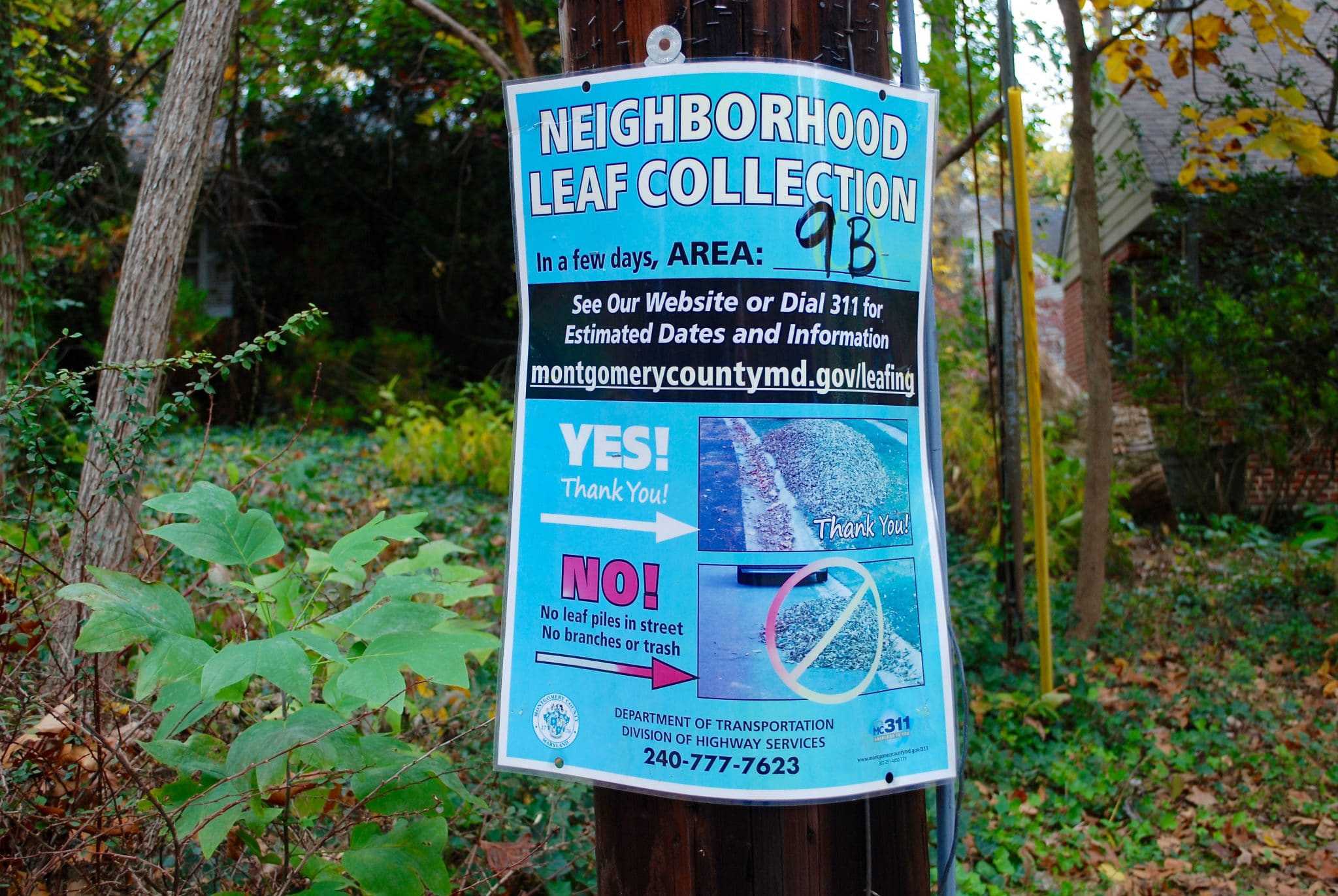 County’s annual leaf pick up program begins next week | Source of the ...