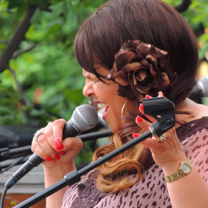 The Nighthawks, All-Star Jam Set to Shine at 15th Annual Silver Spring ...