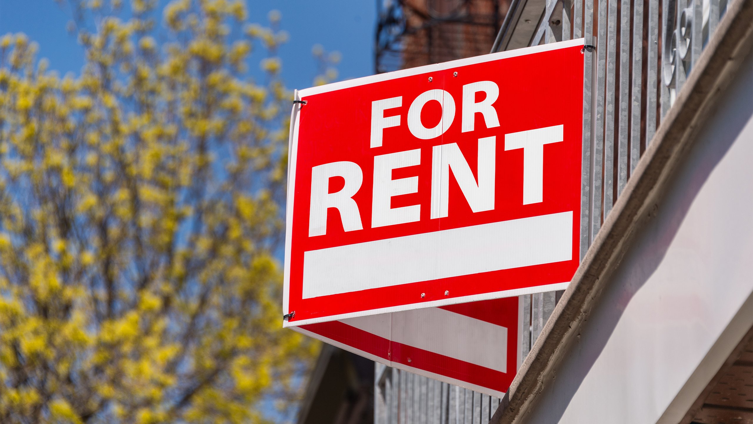 Renters Alliance Hosts Councilmember Kate Stewart, Discusses Pending ...