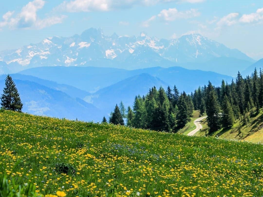 Phulara Ridge Trek 2026: Himalayan Adventure Trails