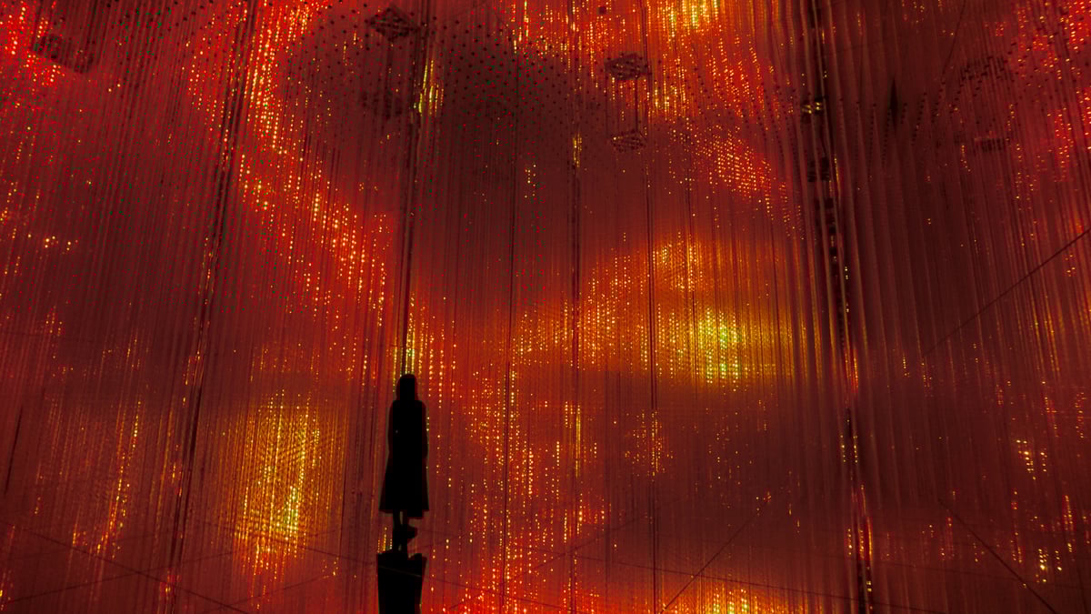 Crows are Chased and the Chasing Crows are Destined to be Chased as ...