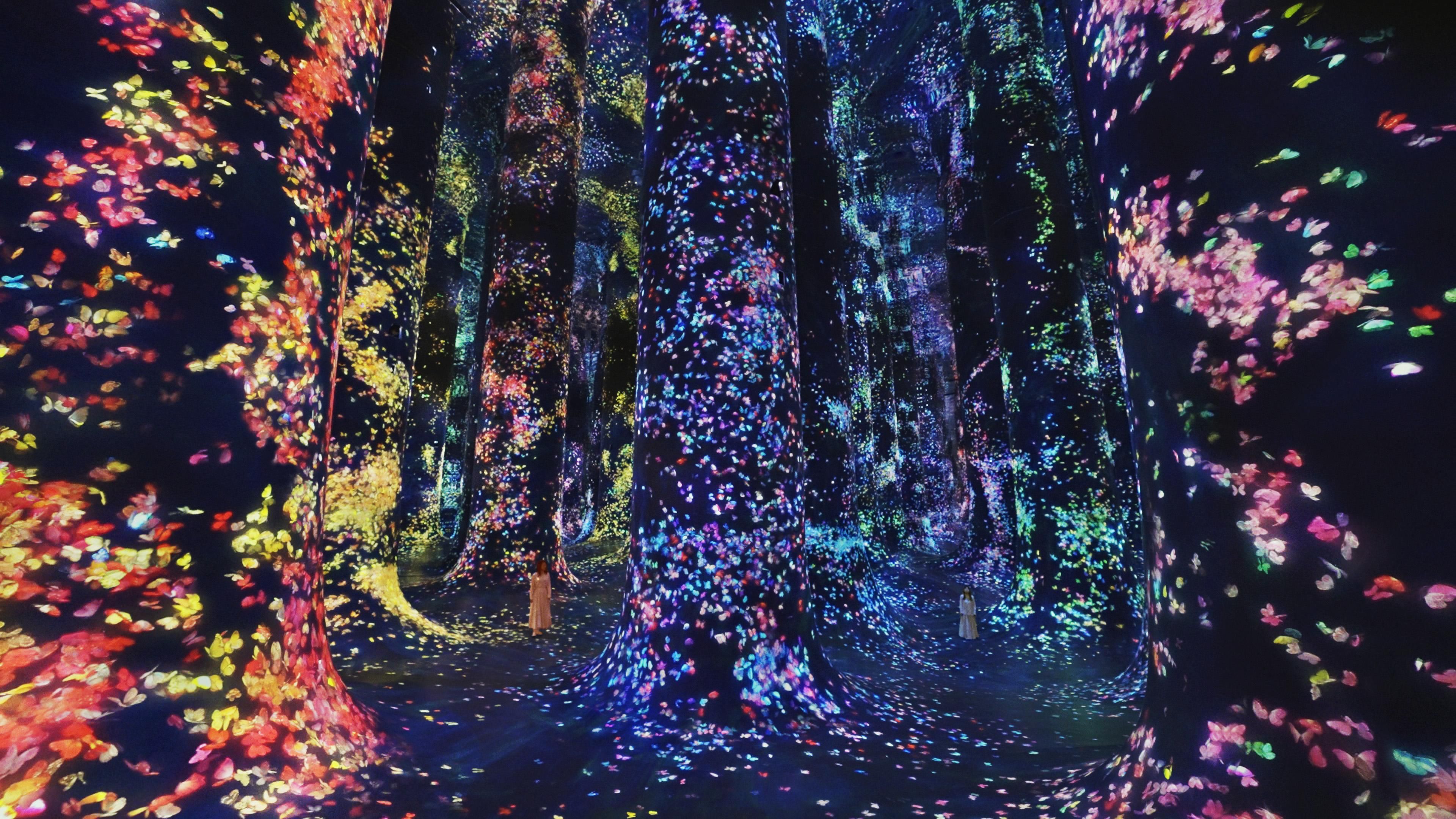 teamLab / チームラボ