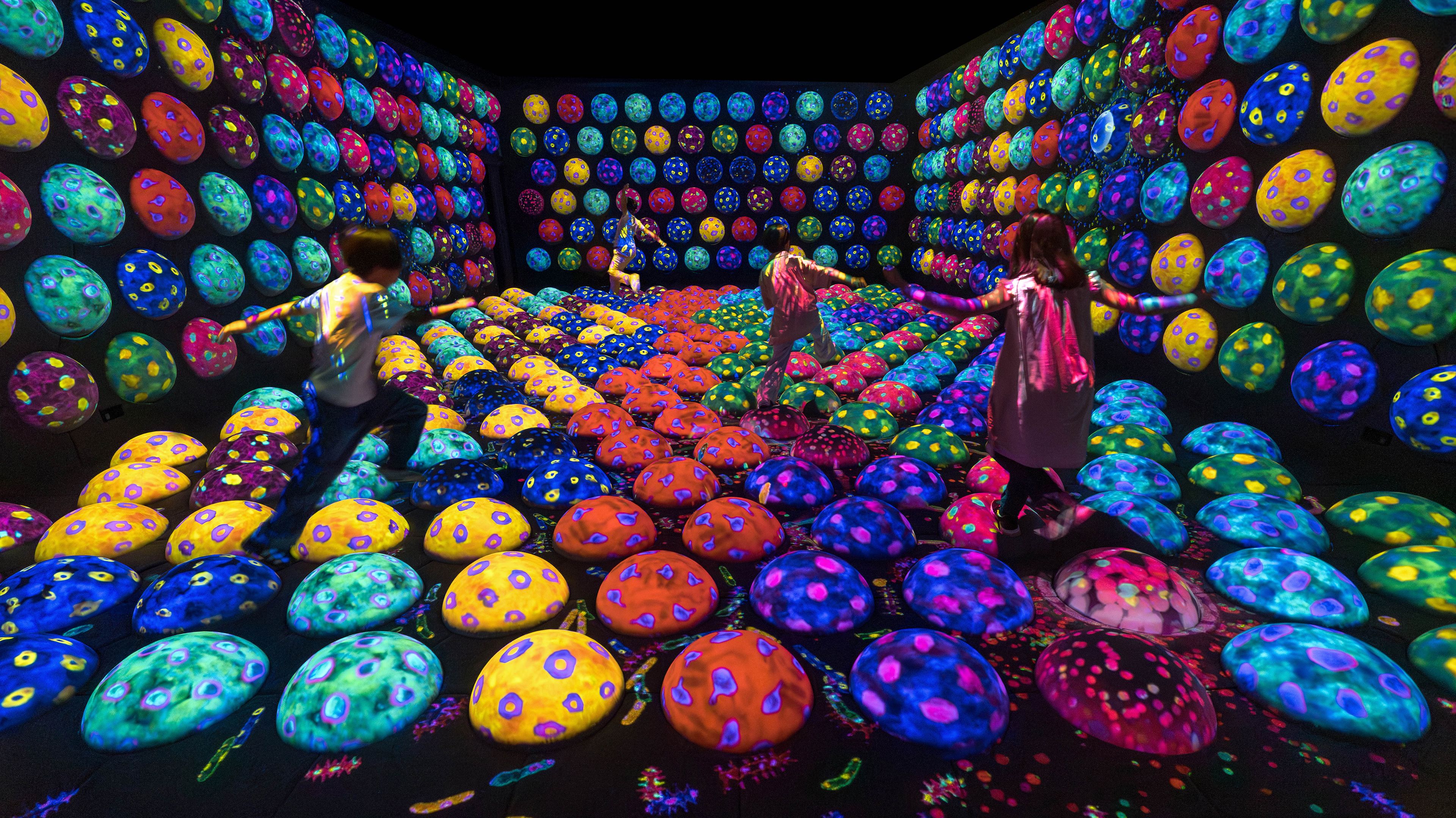 チームラボ バイオヴォルテックス 京都 | teamLab / チームラボ