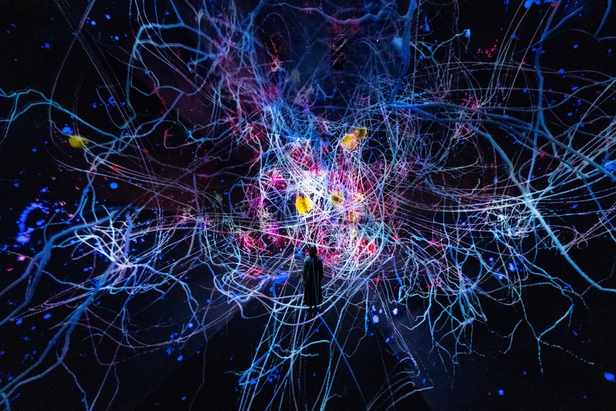 Traces of Life | teamLab / チームラボ