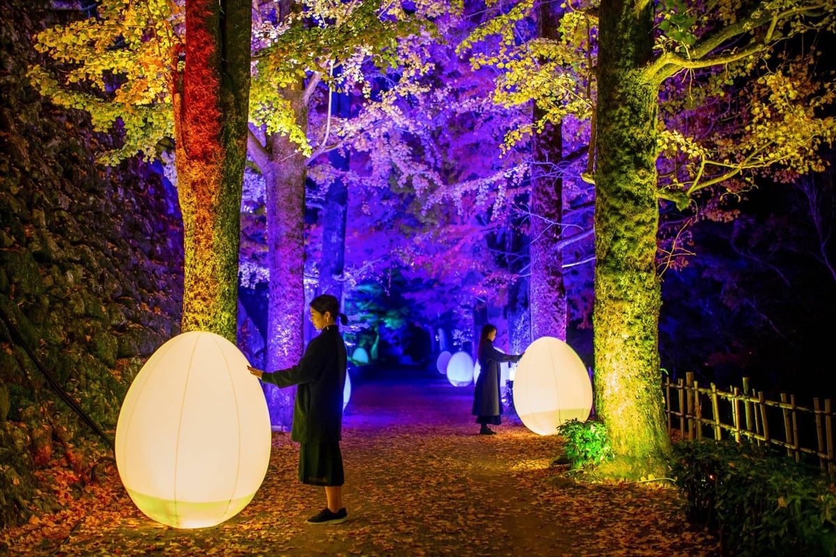 Autonomous Resonating Life and Resonating Trees | teamLab