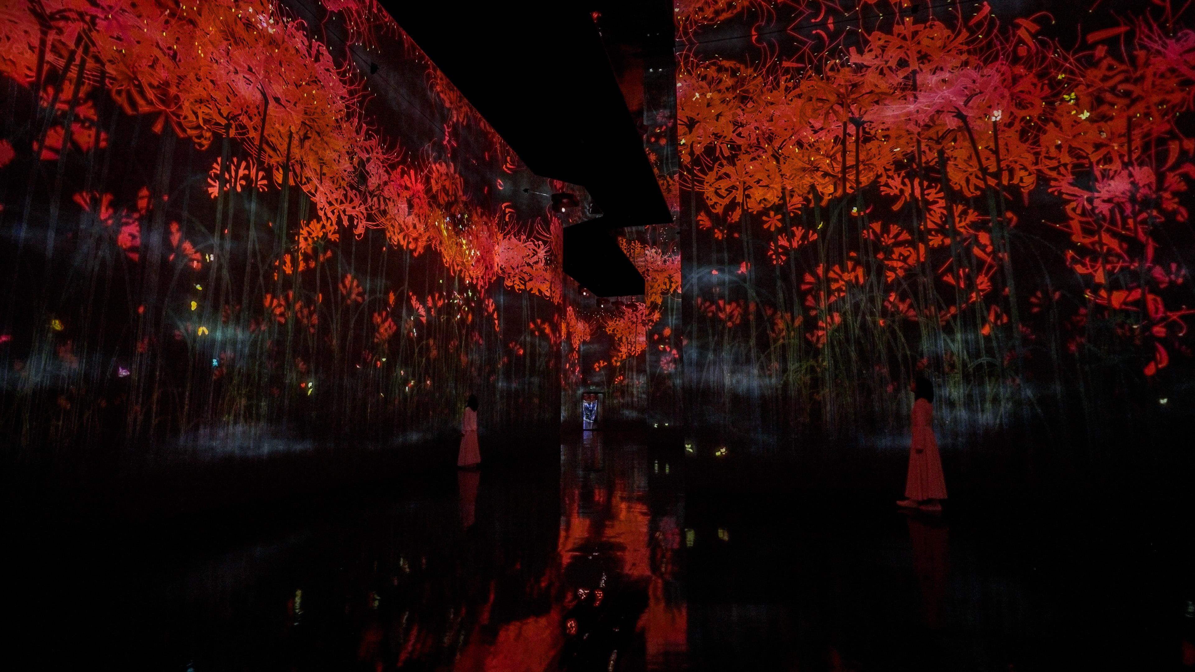 teamLab Borderless Jeddah | teamLab