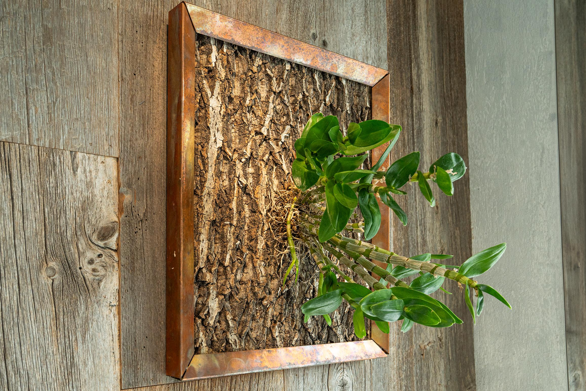 [Official] teamLab Planets TOKYO, Toyosu