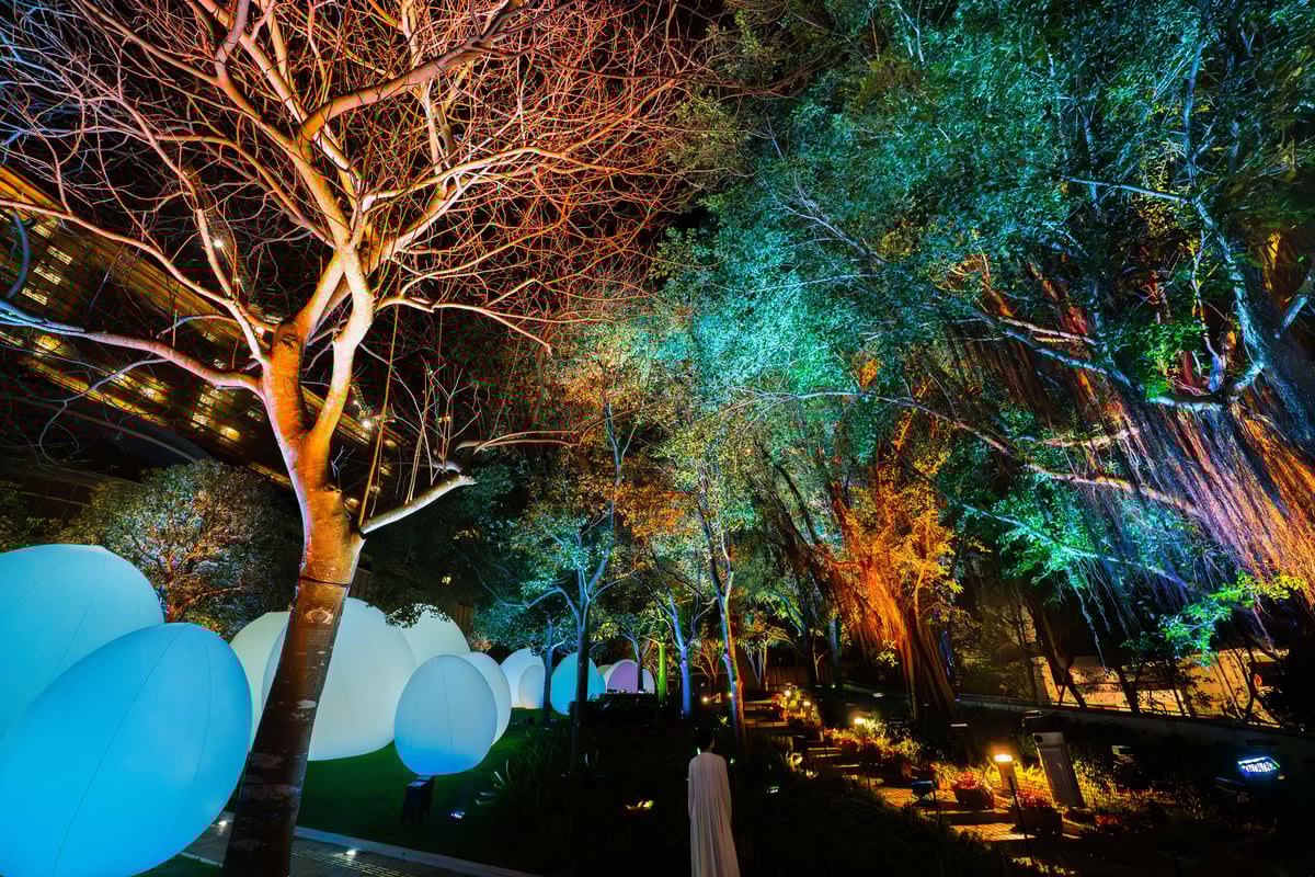 Resonating Trees | teamLab