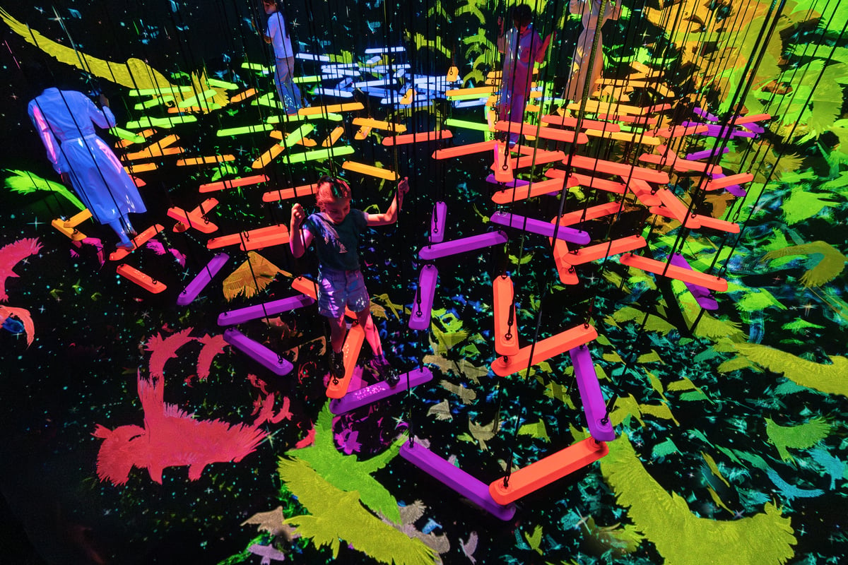 Aerial Climbing through a Flock of Colored Birds | teamLab