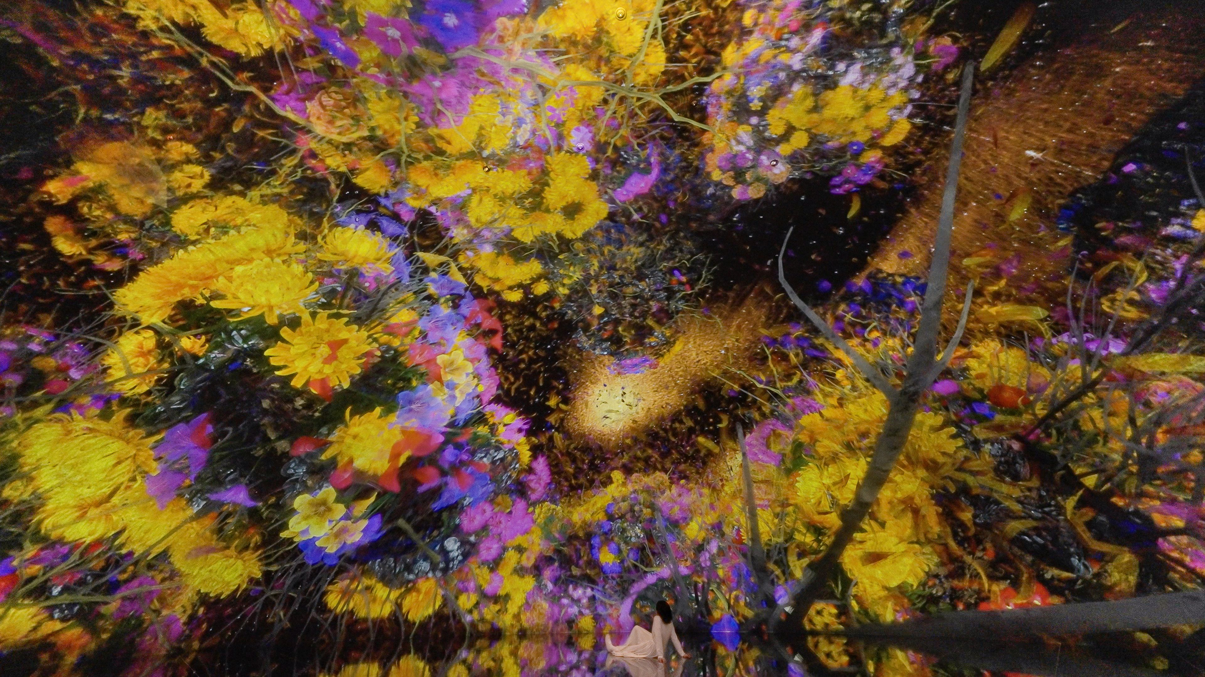 teamLab Biovortex Kyoto | teamLab