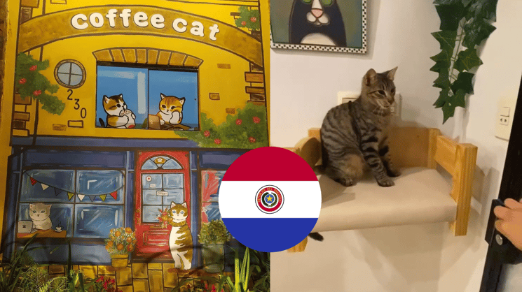 Del Paraguay | Nota