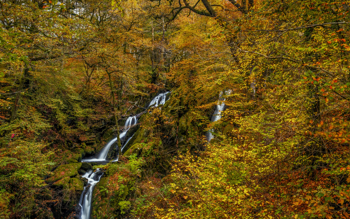 Autumnal Waterfall, Stock Ghyll Force, Ambleside, Lake District ...