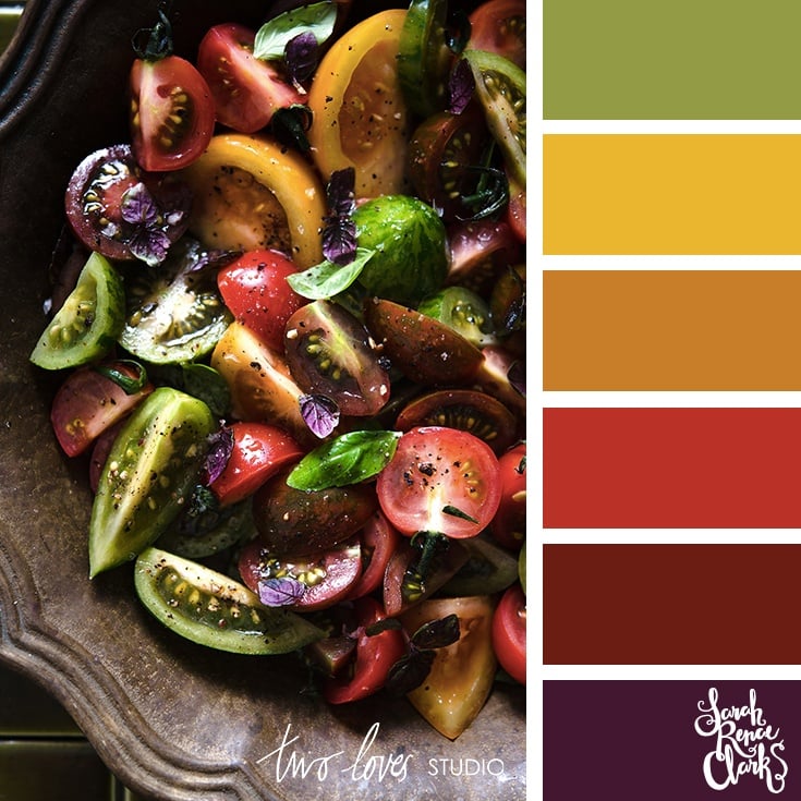 25 Color Palettes Inspired by Beautiful Food | Photos by Rachel Korinek