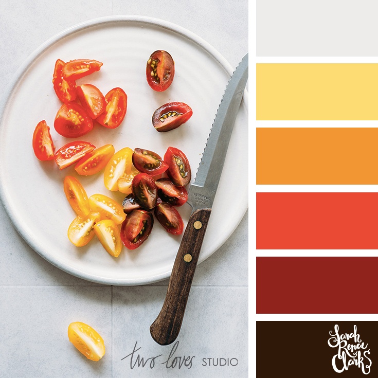 25 Color Palettes Inspired by Beautiful Food | Photos by Rachel Korinek
