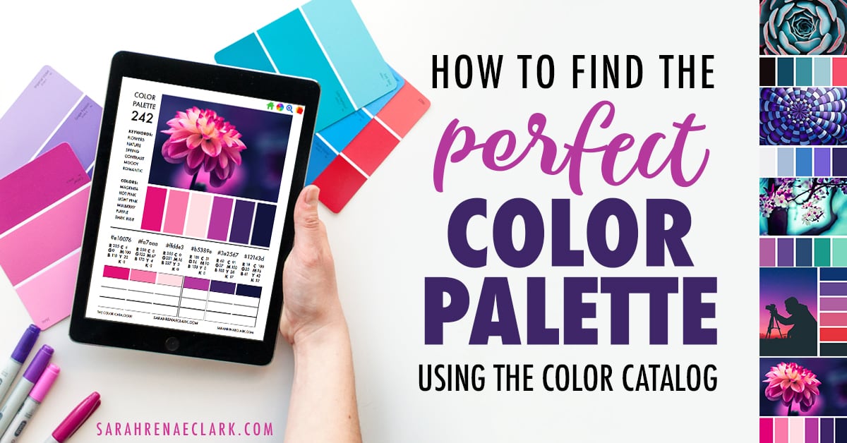How to Find the Perfect Color Palette Using The Color Catalog