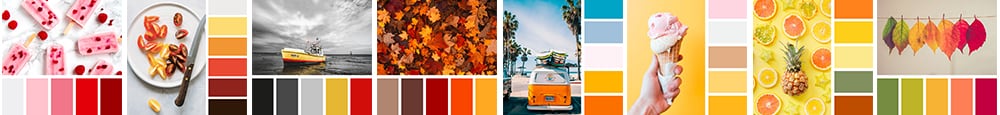 How to Find the Perfect Color Palette Using The Color Catalog