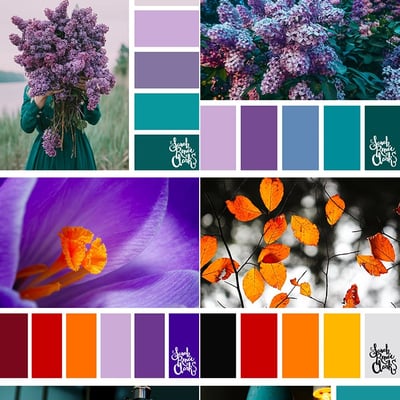 25 Color Palettes Inspired by the Pantone Fall/Winter 2018 Color Trends