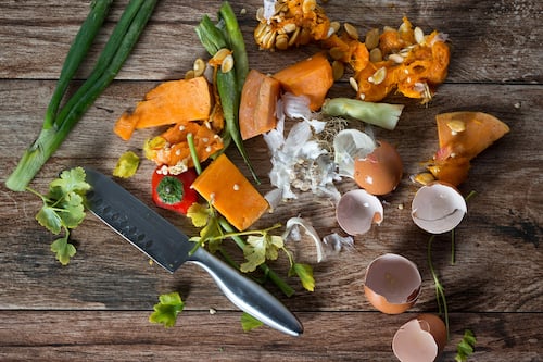 Zero Food Waste | Brave New Food