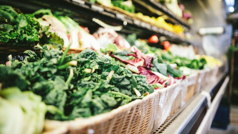 Innovating for food transition: 'We could step it up a notch' | Brave ...