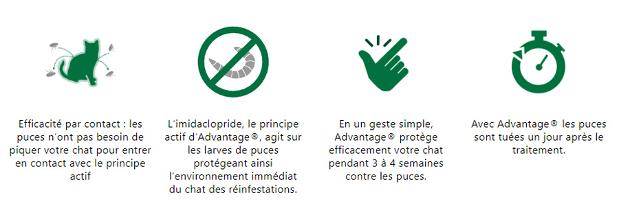 Advantage 40 - Elanco antiparasitic pipettes for cats and rabbits - 6 pips.