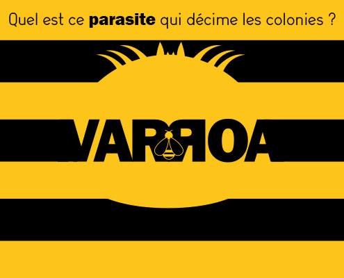 Varromed - Varroase & varroa - 555 ml - Abeilles - BEEVITAL