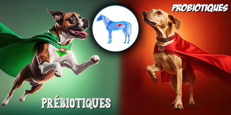 Or Biotic OR VET : Probiotiques pour chevaux 450 g | Produits Veto