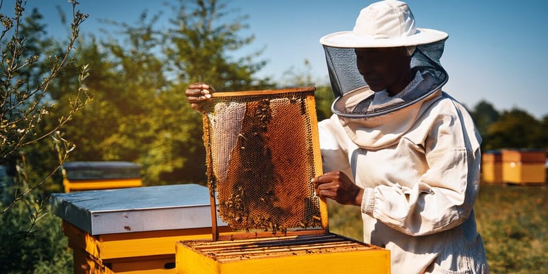 DOSSIER Varroa destructor : Lutter contre le parasite des abeilles