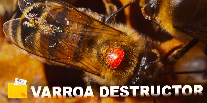 SOUBOR Varroa destructor: Boj s včelím parazitem