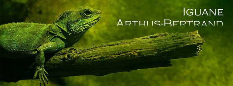 Vitaminat për zvarranikët - Produktet tona