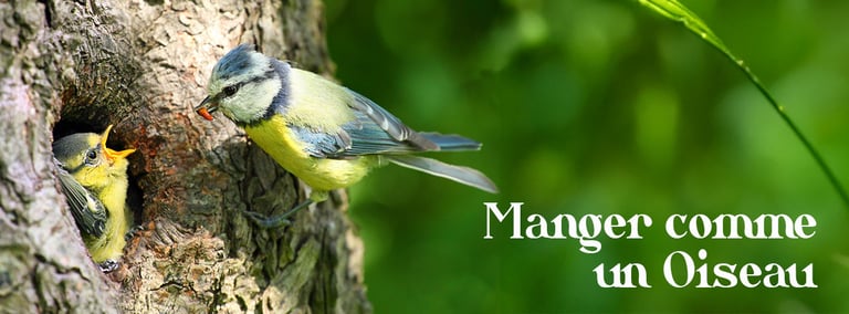 Triušių ir graužikų higiena ir priežiūra: veterinarijos produktai ...