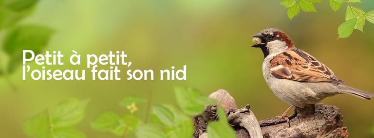 Triušių ir graužikų higiena ir priežiūra: veterinarijos produktai ...