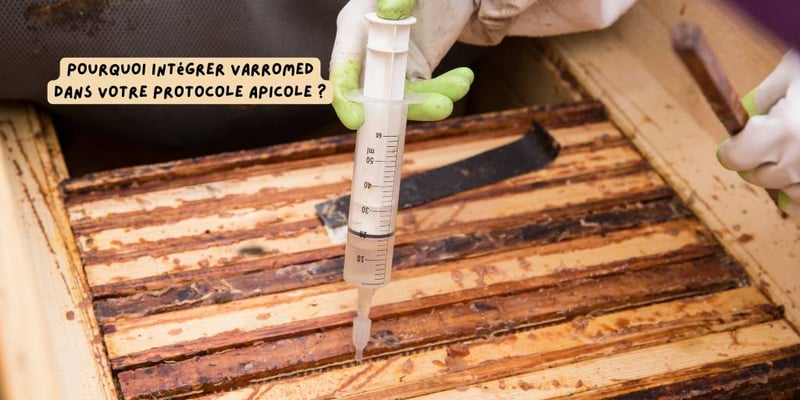 Calistrip Biox - Վարրոա դեստրուկտորի կենսաբանական բուժում - Մեղուներ ...