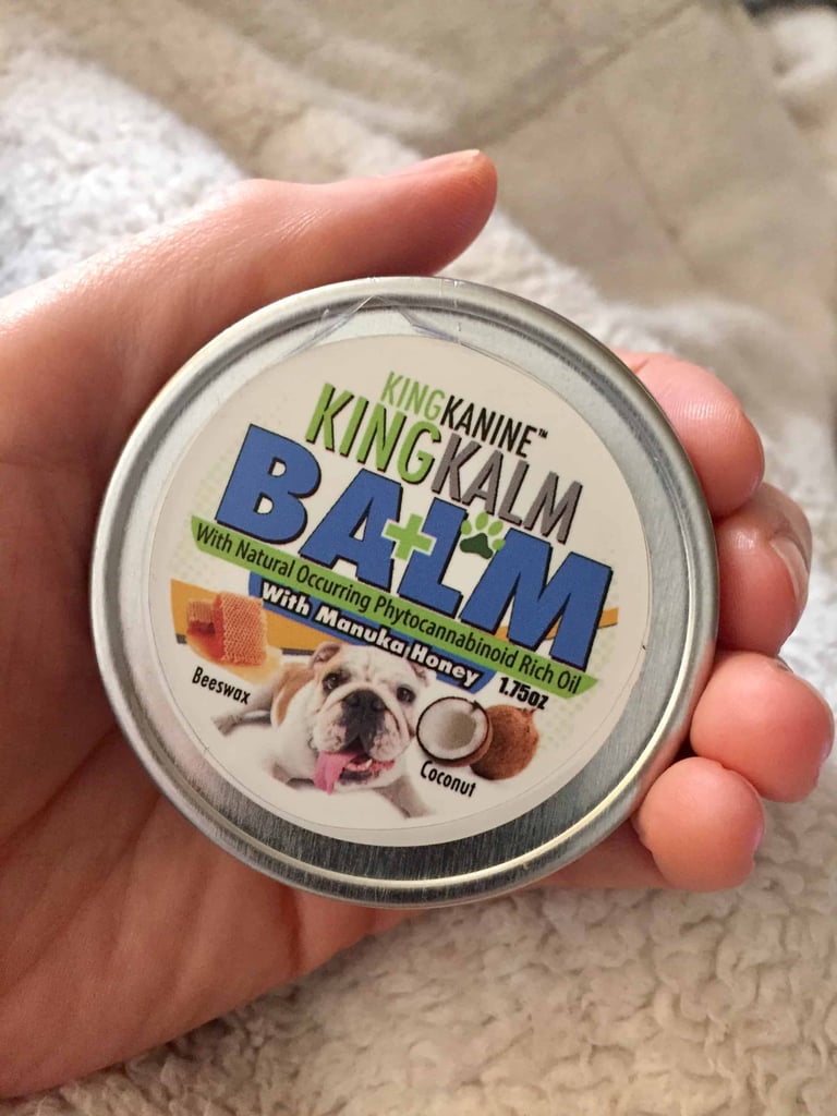 Pet CBD: King Kanine Review - King Kalm Dog Paw Balm