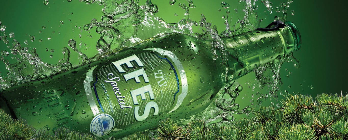 EFES Georgia